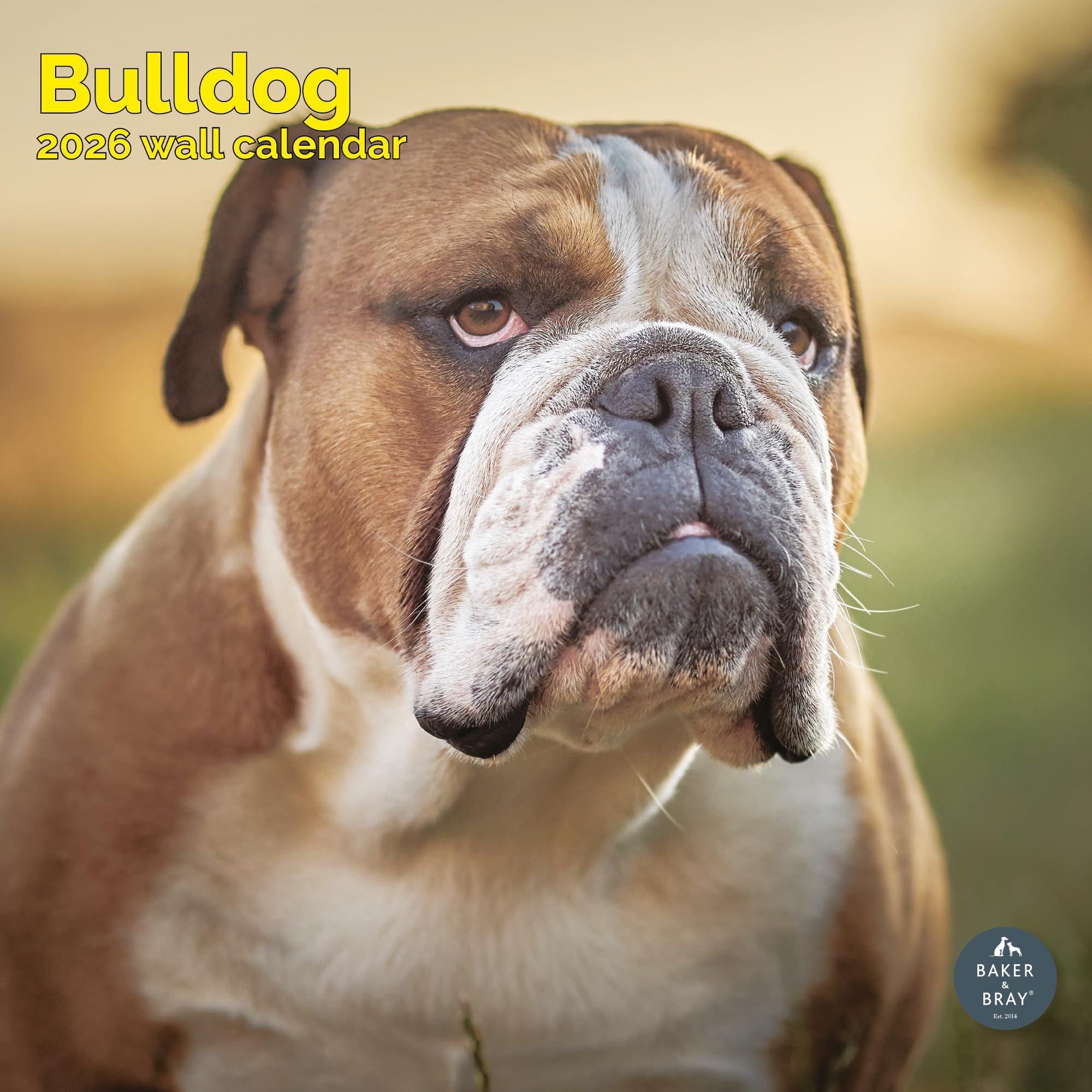 Bulldog Calendar 2026